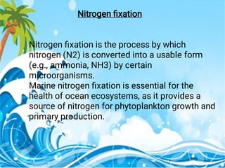 Marine Nitrogen cycle, Iron limitation, ocean fertilization | PDF