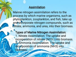 Marine Nitrogen cycle, Iron limitation, ocean fertilization | PDF
