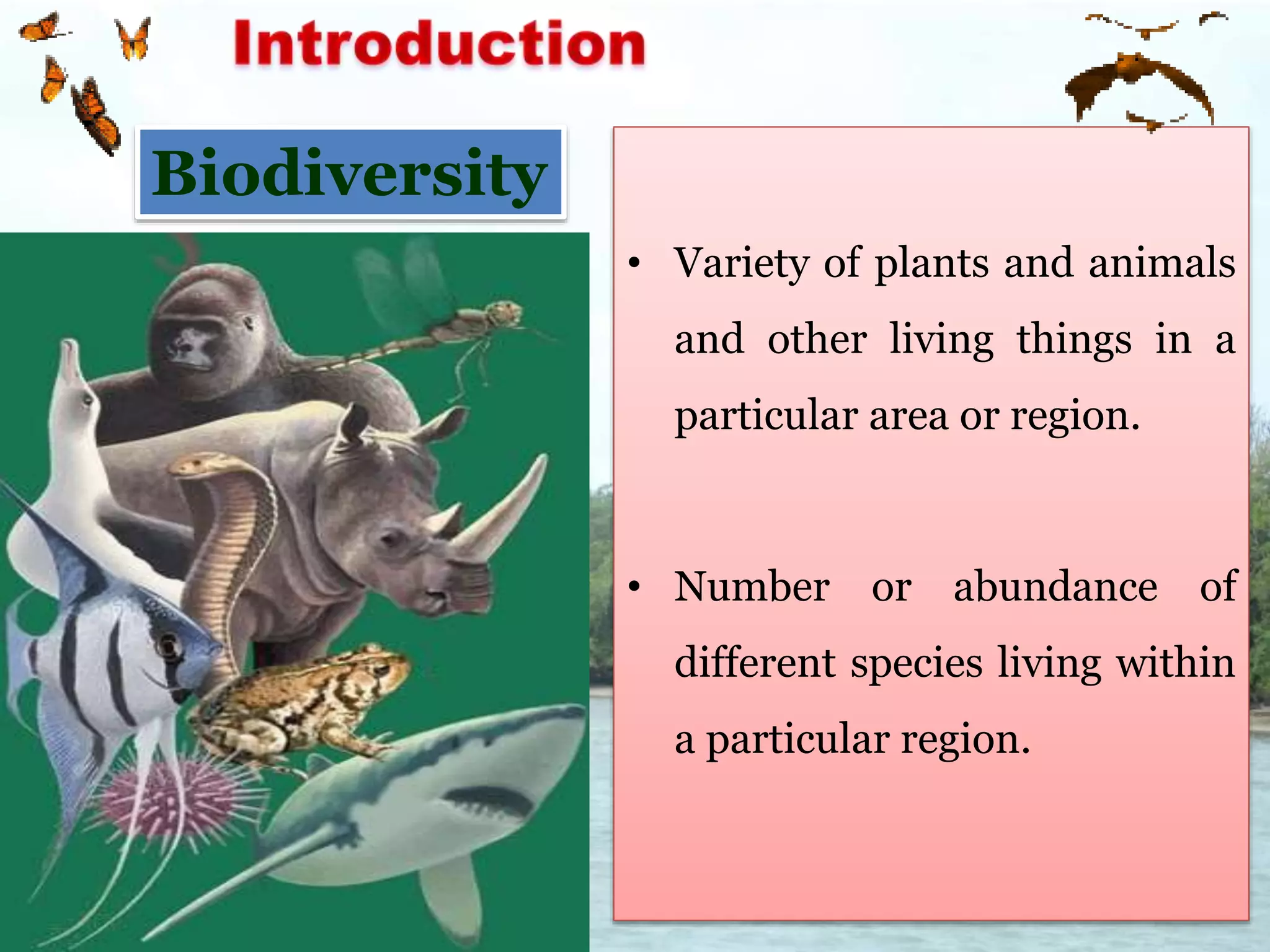 An Investigation on the Impact of Plant-Animal Interactions in the ...