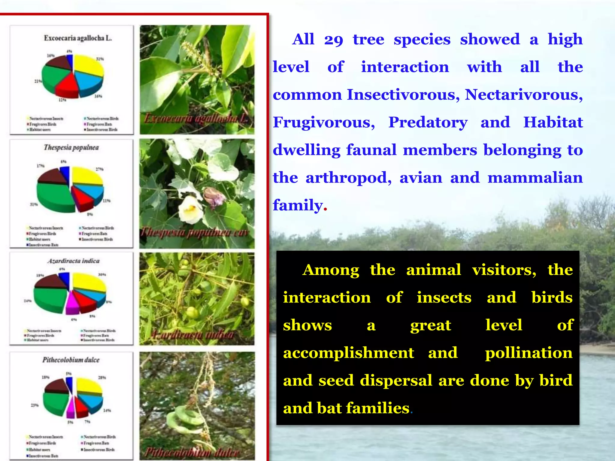 An Investigation on the Impact of Plant-Animal Interactions in the ...