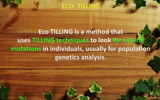 Tillling and Ecotilling | PPTX