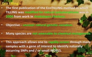 Tillling and Ecotilling | PPTX