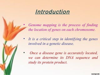 Genome Mapping | PPT