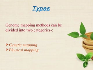 Genome Mapping | PPT