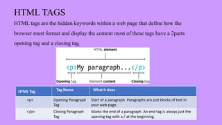 WEB DVELOPEMENT | PPT