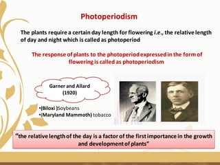 Classical and molecular breeding approaches for developing photo ...