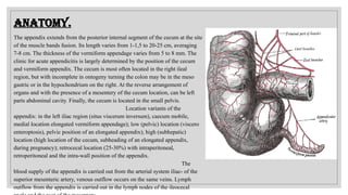 surgery appendicular filltrate about definition to treatment | PPTX