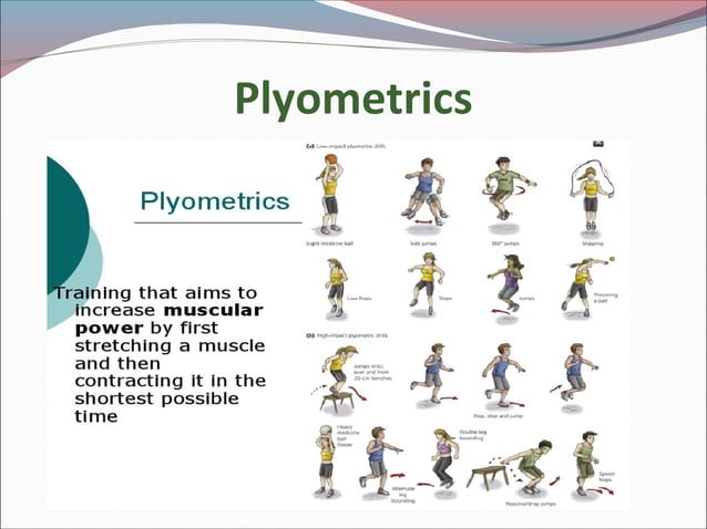 Plyometrics and types of Periodisation)