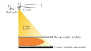 Anode Heal Effect | PPTX