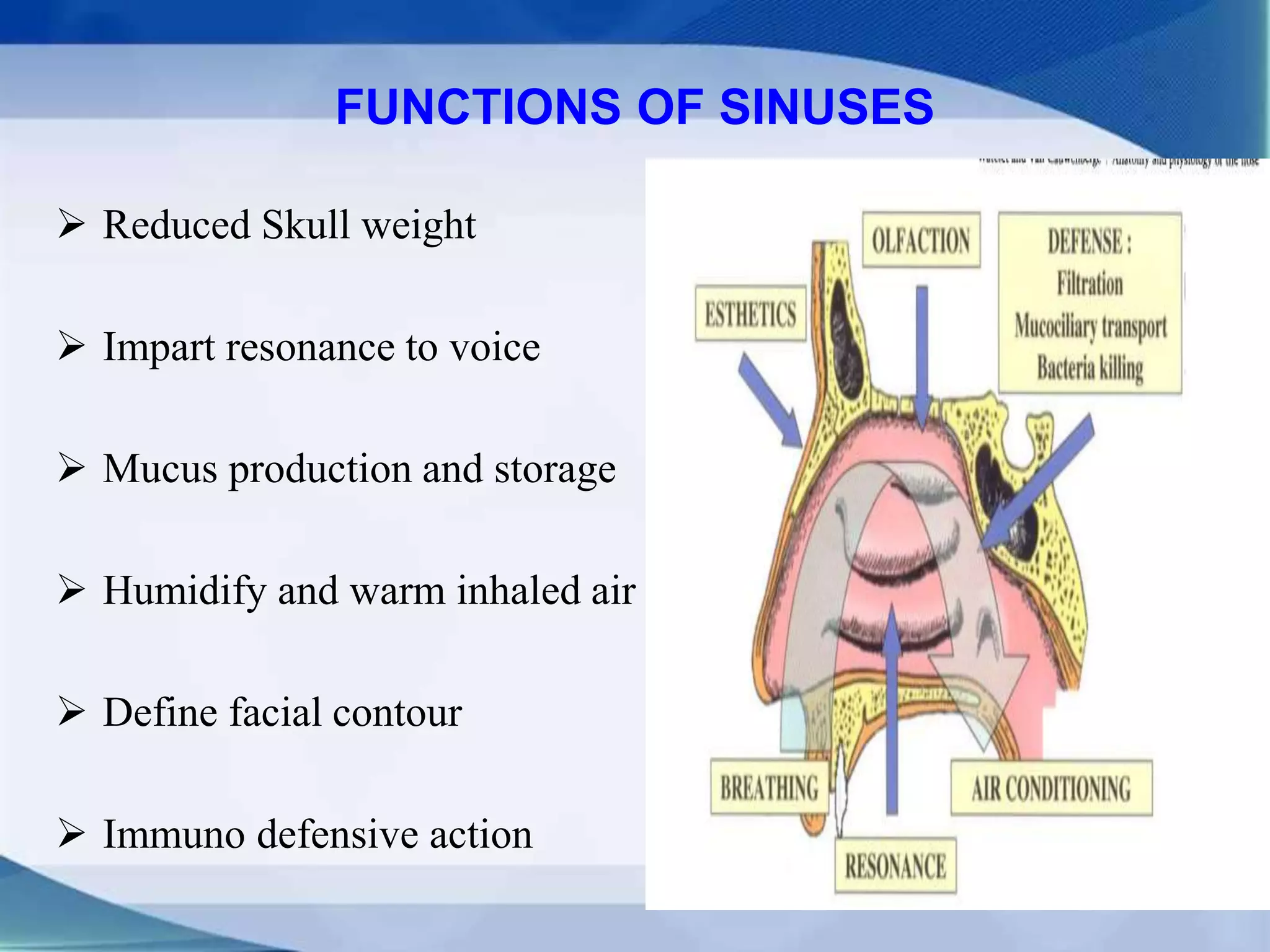 paranasal sinuses | PPTX