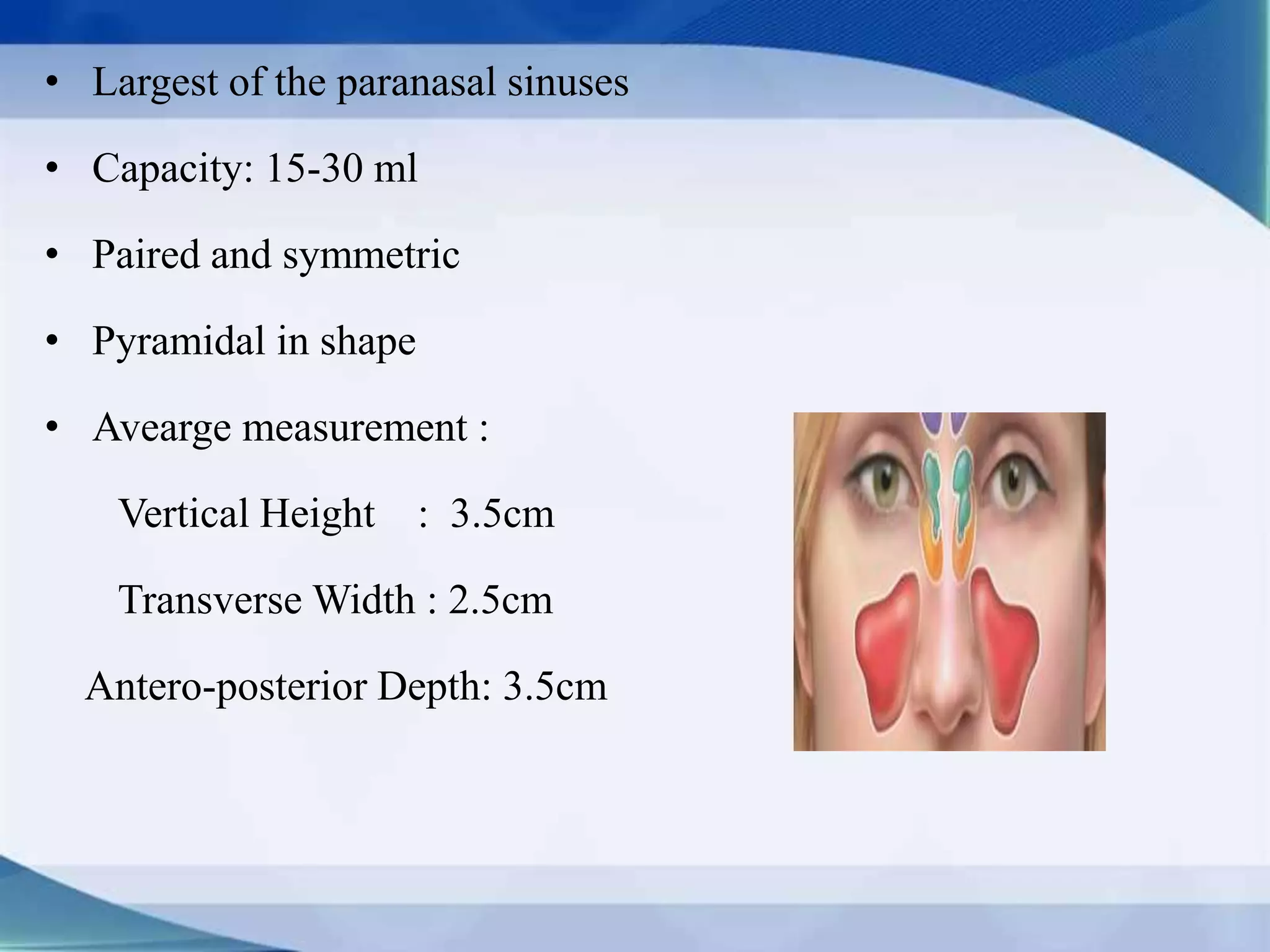 paranasal sinuses | PPT