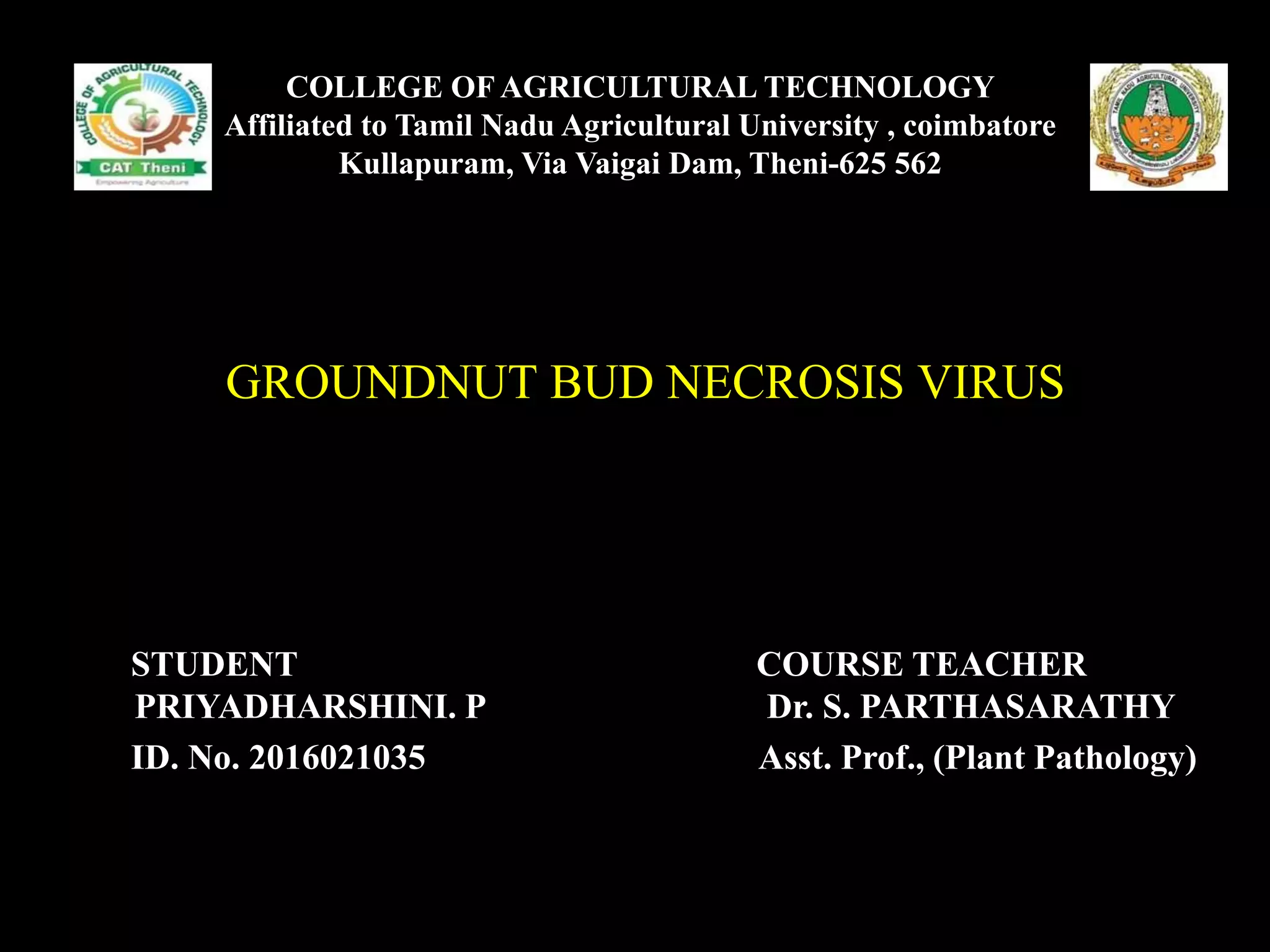 GROUNDNUT BUD NECROSIS VIRUS | PPTX