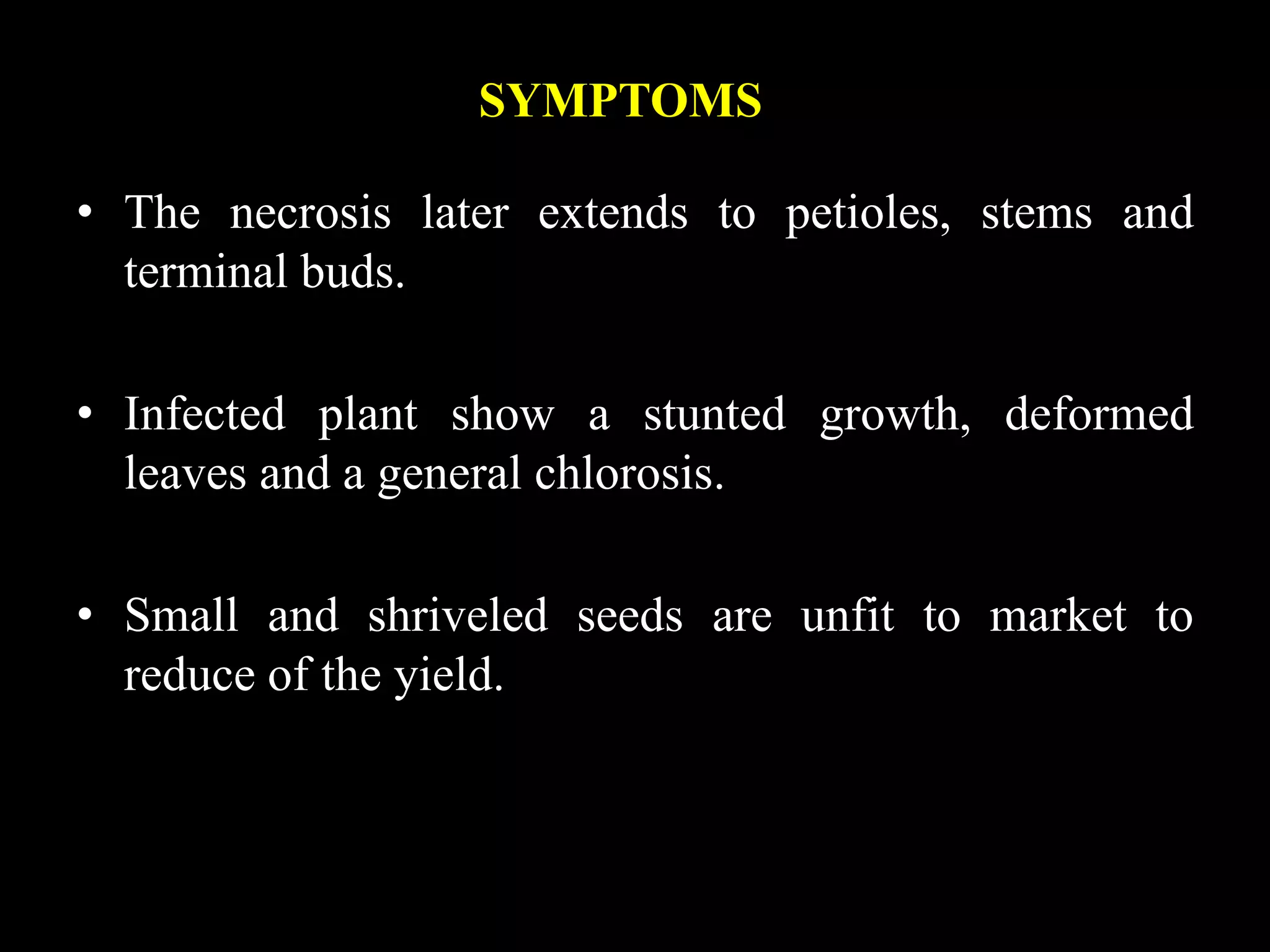 GROUNDNUT BUD NECROSIS VIRUS | PPTX