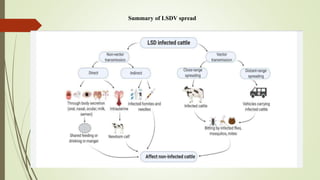 Pathology of lumpy skin disease virus.pptx