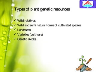 Priya yadav plant genetic resources | PPT