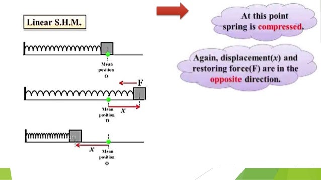 Oscillatoria Diagram
