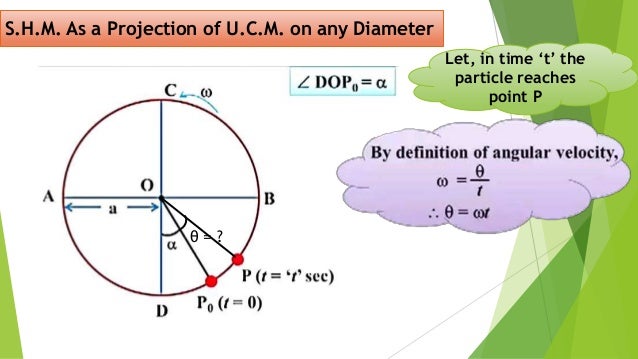 Oscillatoria Diagram