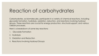 Biomolecules ppt ....................... | PPTX
