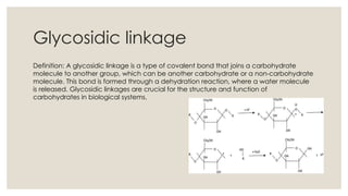 Biomolecules ppt ....................... | PPTX