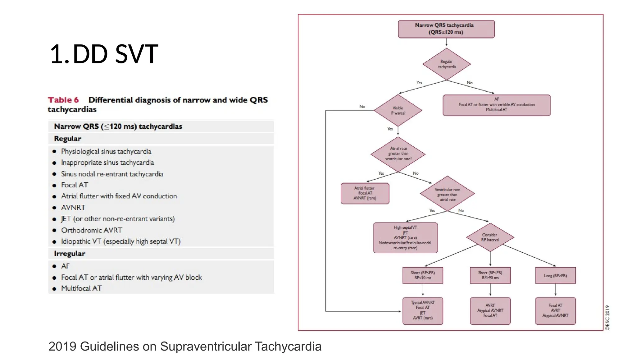 sct svt svt svt svt svt svt svt svts vt svt | PPTX