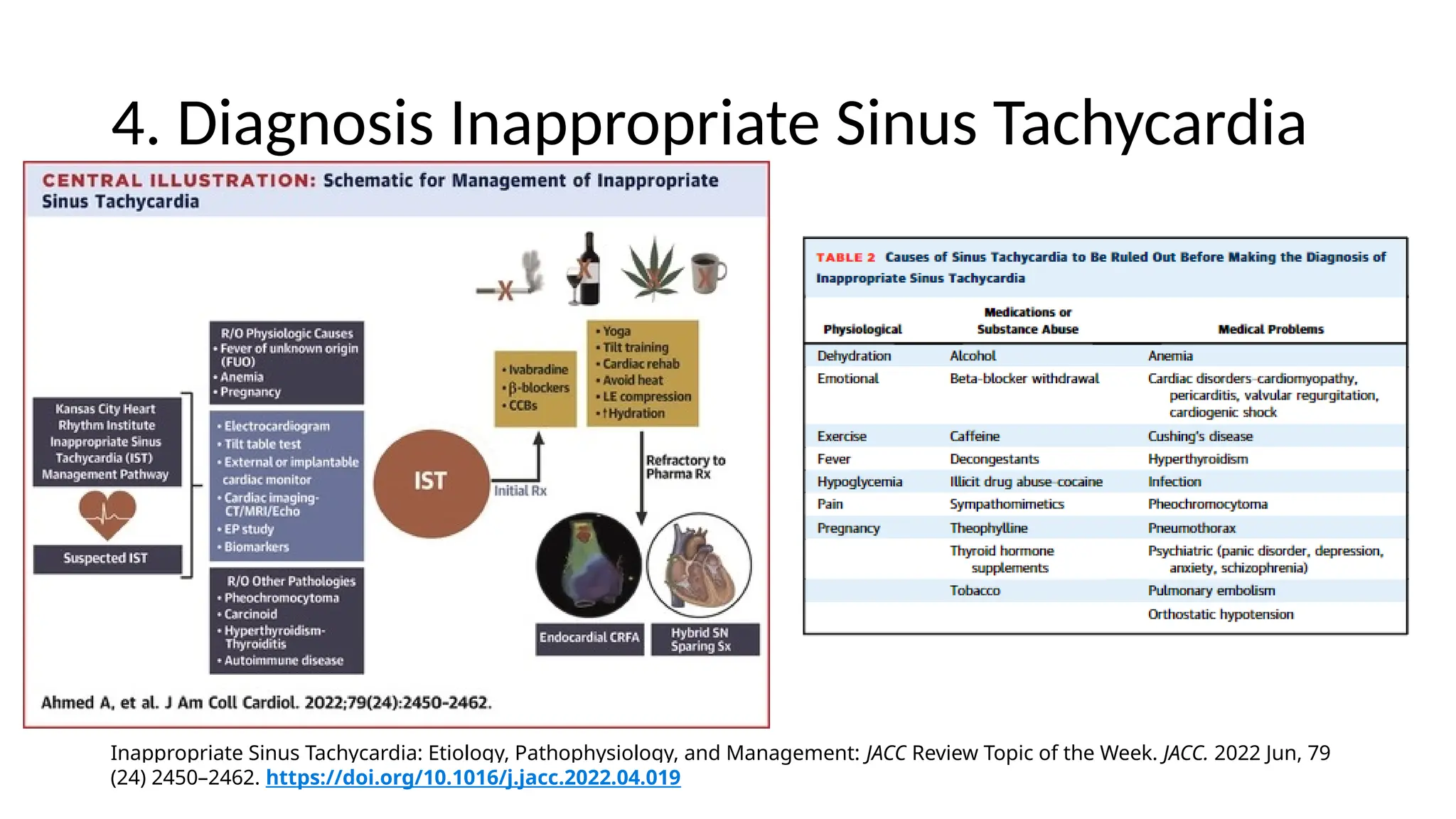 sct svt svt svt svt svt svt svt svts vt svt | PPTX