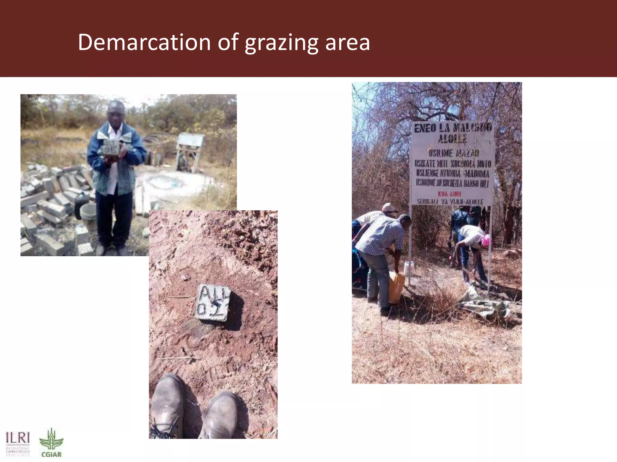 Introduction, stages and steps of participatory rangeland management | PPTX