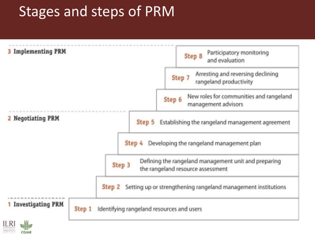Introduction, stages and steps of participatory rangeland management ...