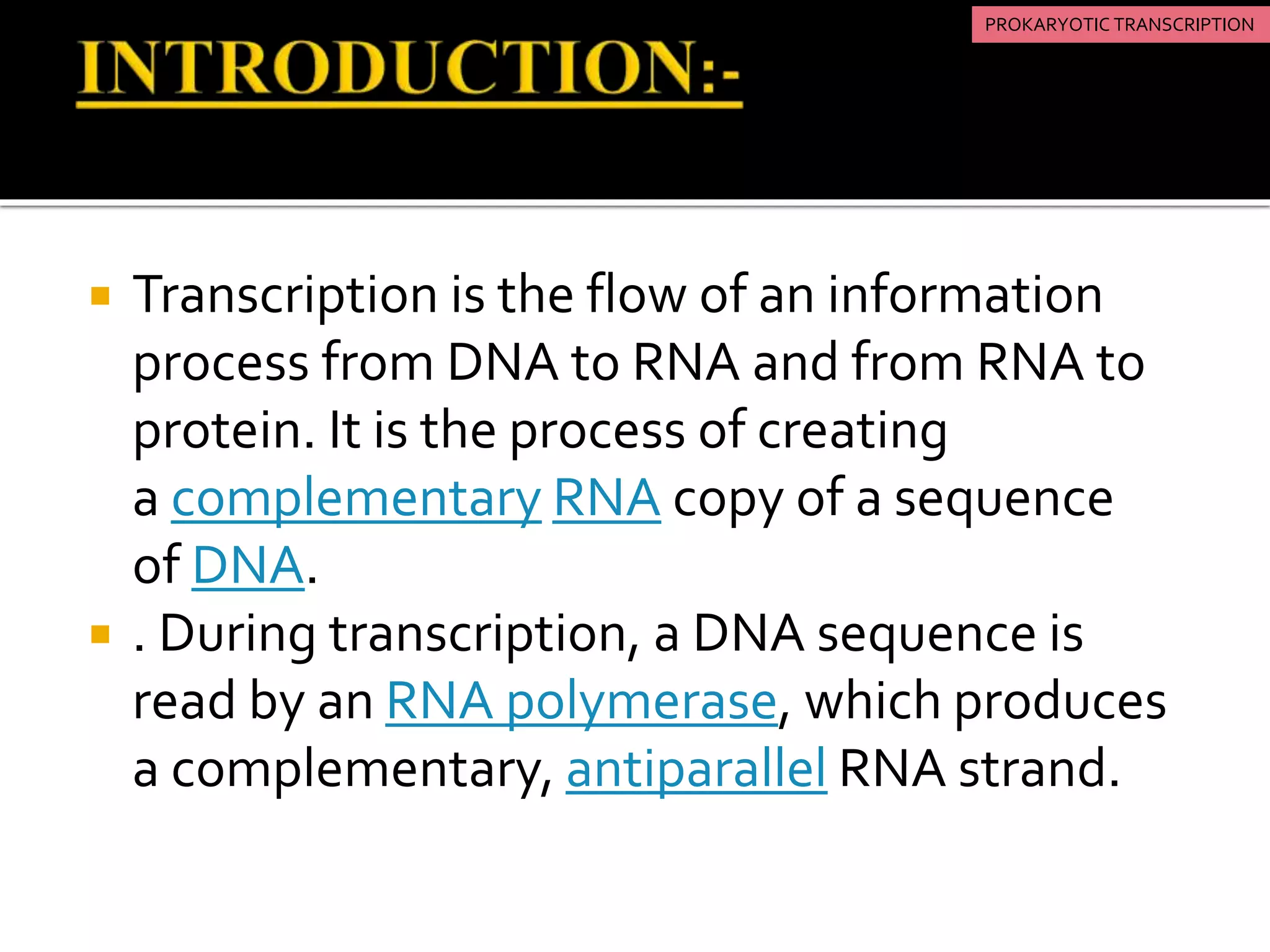 Prokaryotic transcription by kk | PPT