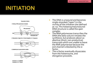 Prokaryotic transcription by kk | PPT