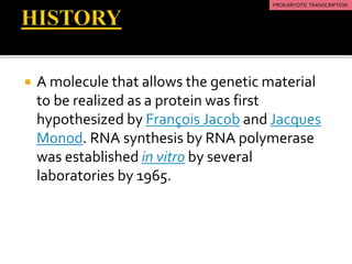 Prokaryotic transcription by kk | PPT