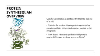 PROTEIN BIOSYNTHESIS, central dogma ,transcription,translation.pptx