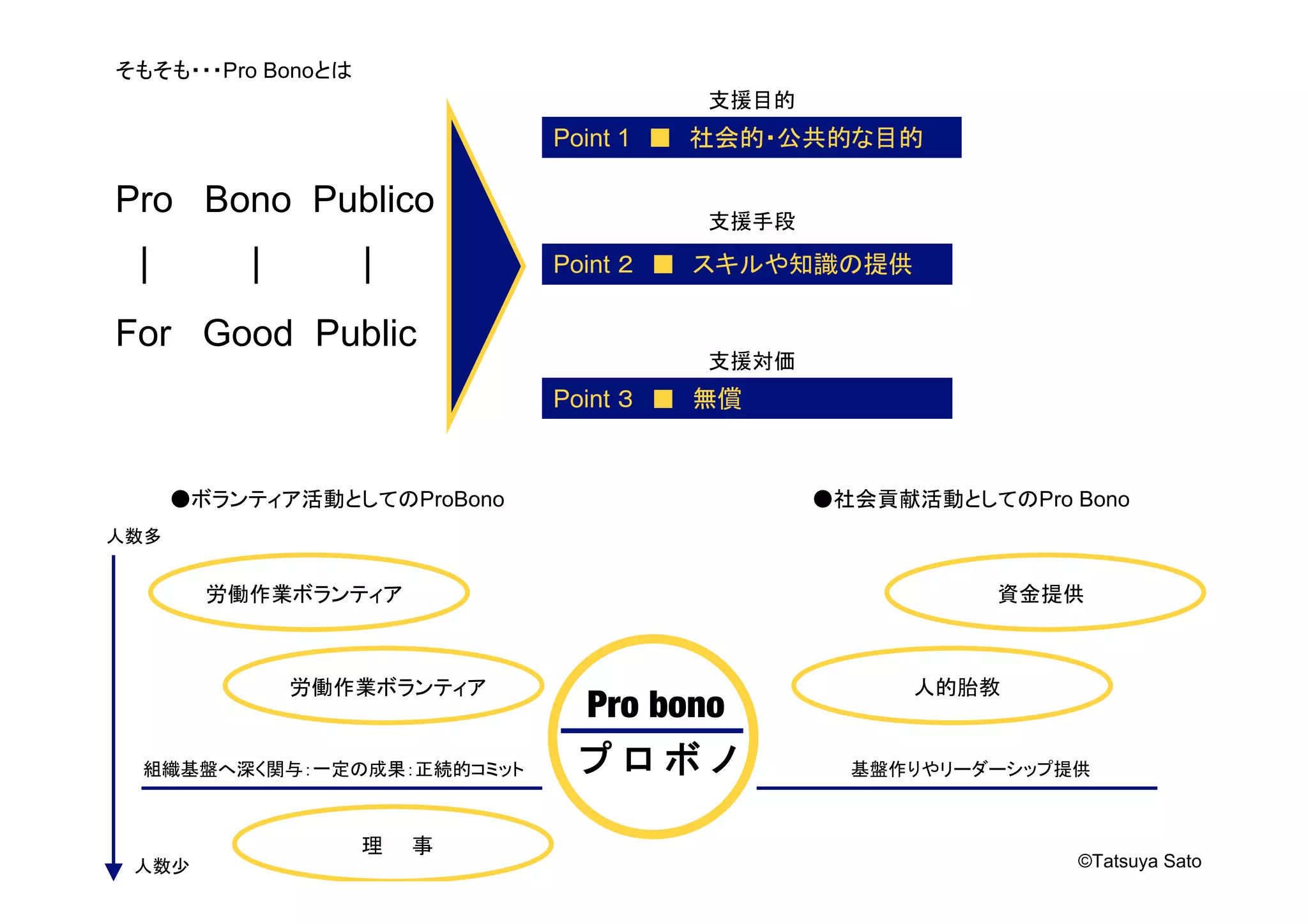 Pro Bono | PPT