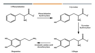 Pro-Drug and Active Drug In Medicinal Chemistry.ppt
