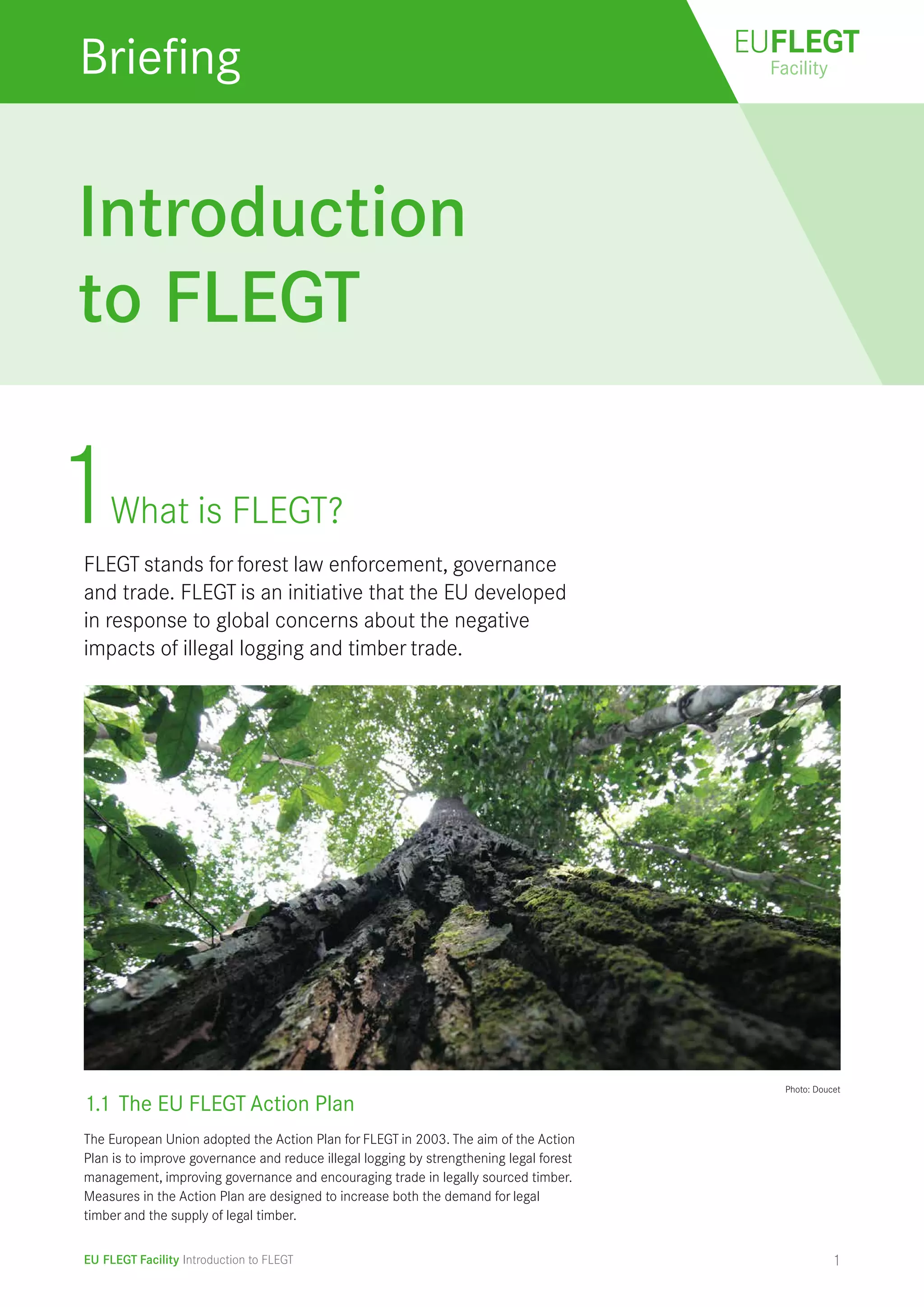 Pro forest - introduction to flegt | PDF
