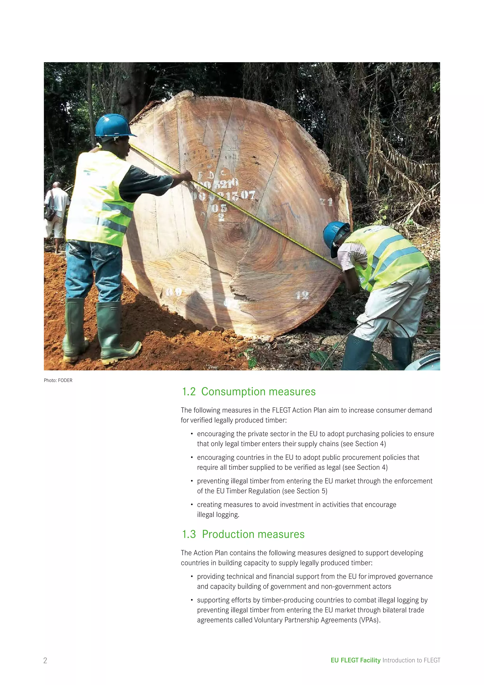 Pro forest - introduction to flegt | PDF