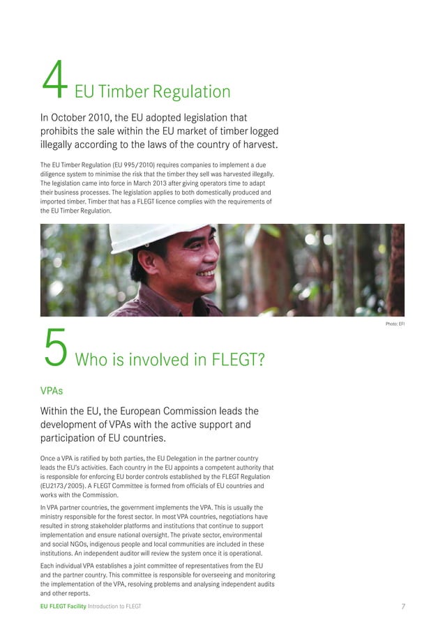 Pro forest - introduction to flegt | PDF