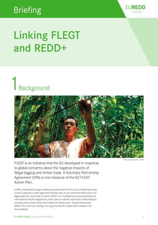 Pro forest - linking flegt and redd | PDF