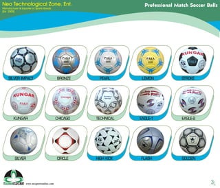 PAKA Custom Pro-Match Soccer Balls | PPT