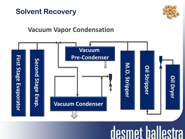 Extraction of oil from seeds using solvent extraction technique.pdf | Physics | Science