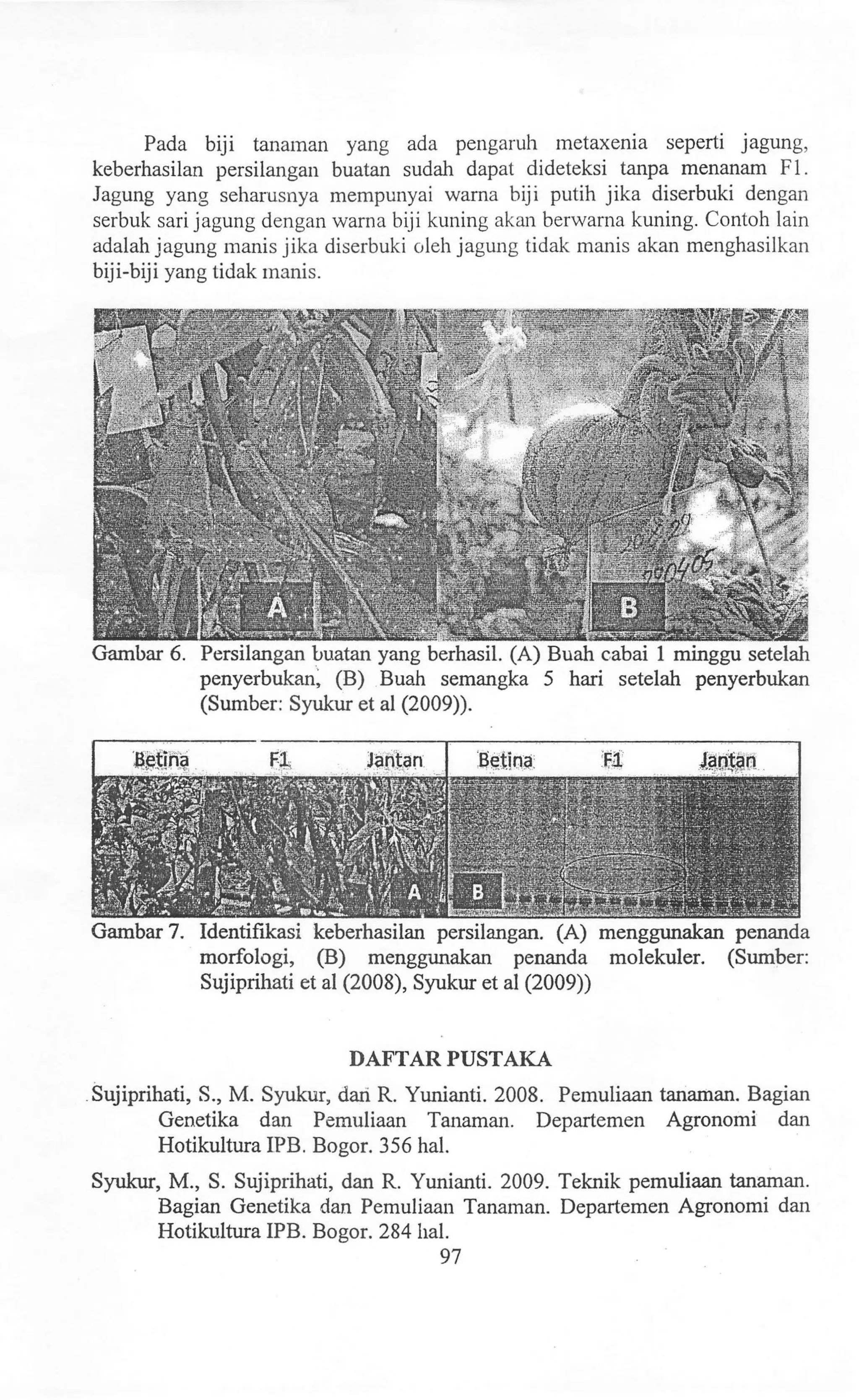 TEKNIK PERSILANGA,N BUATAN | PDF