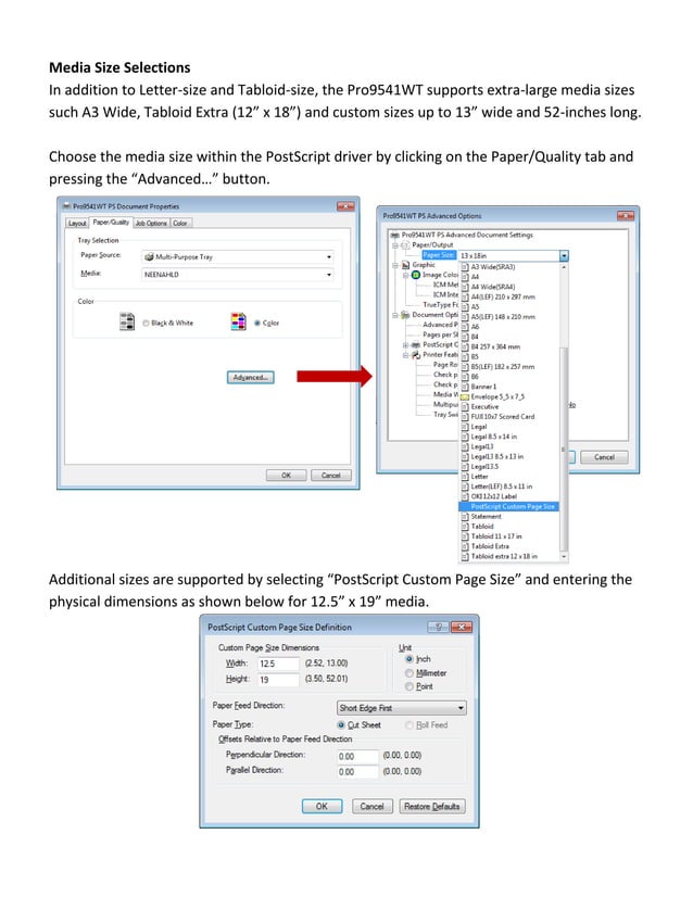 OKI Pro9541WT Transfer Printer | PDF