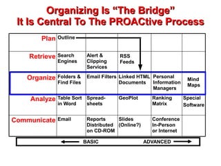 PROACtive Process Overview | PDF