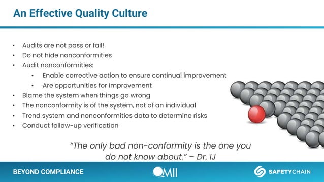 Proactive Internal Auditing (QMMI) - April 2023.pptx