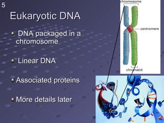 Pro and Eu cell structure | PPT