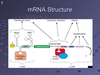 Pro and Eu cell structure | PPT