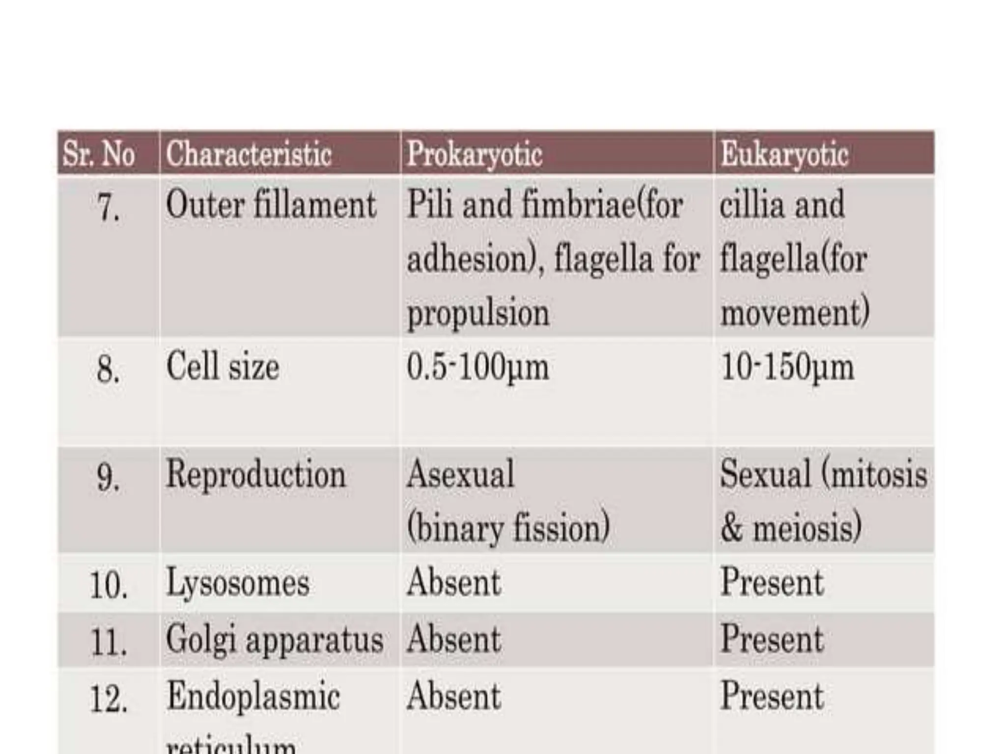 Prokaryotes and Eukaryotes (Prokaryotic and Eukaryotic cells) | PPT