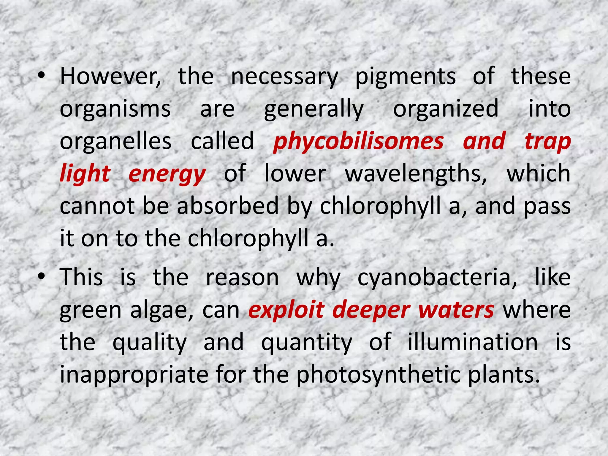 Prokaryotic and Eukaryotic Algal cell structure | PPTX