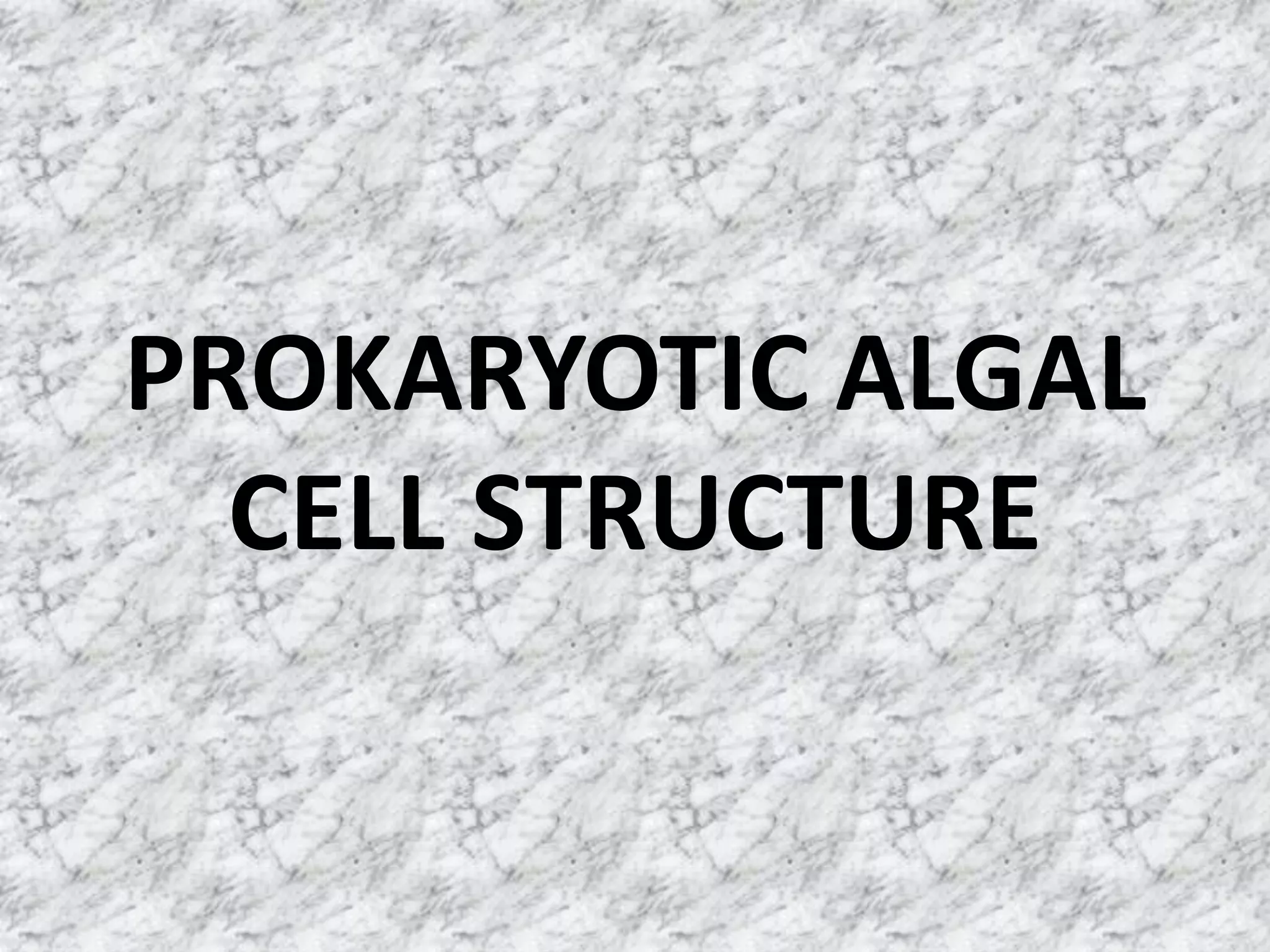 Prokaryotic and Eukaryotic Algal cell structure | PPTX