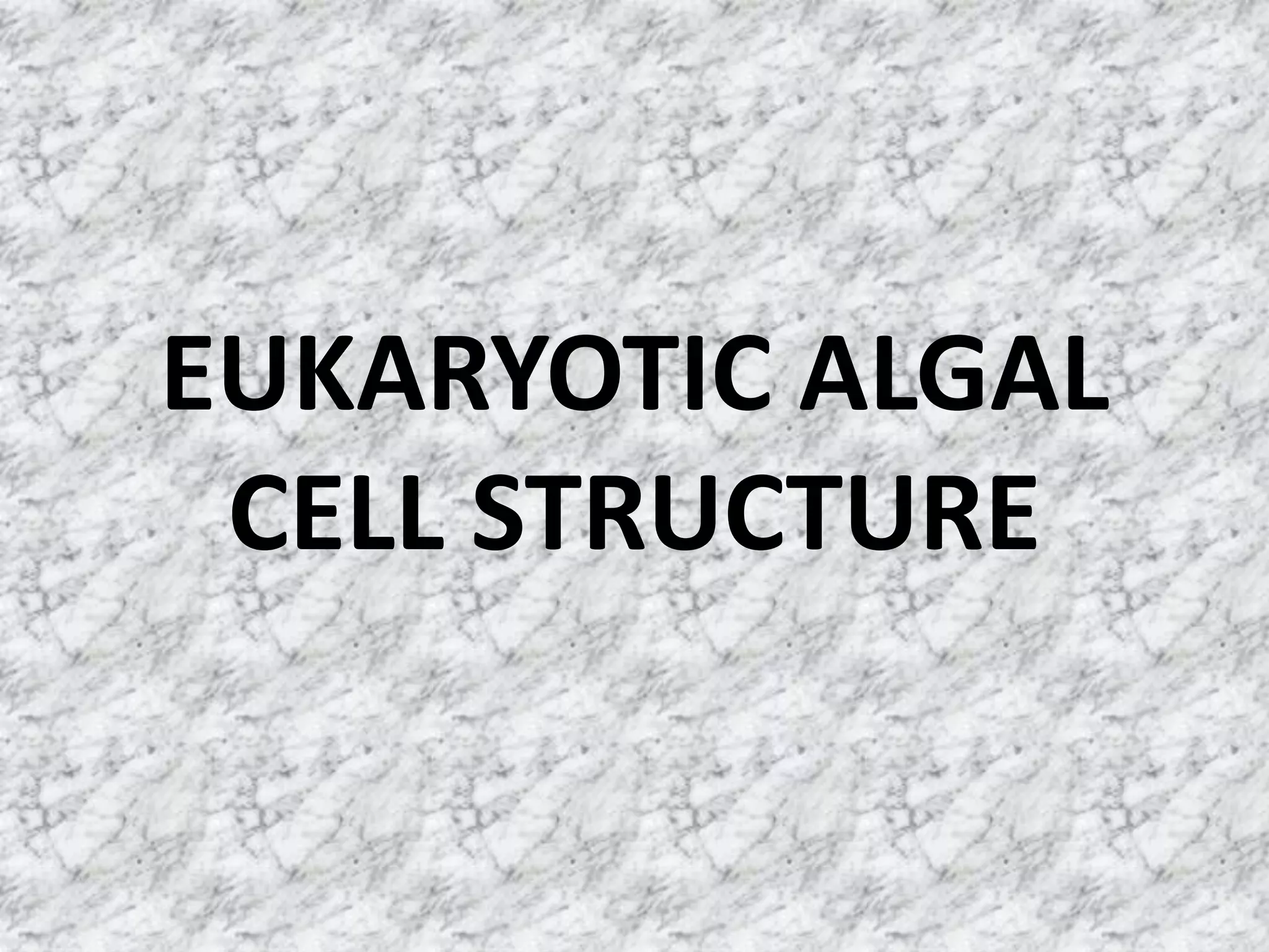 Prokaryotic and Eukaryotic Algal cell structure | PPTX