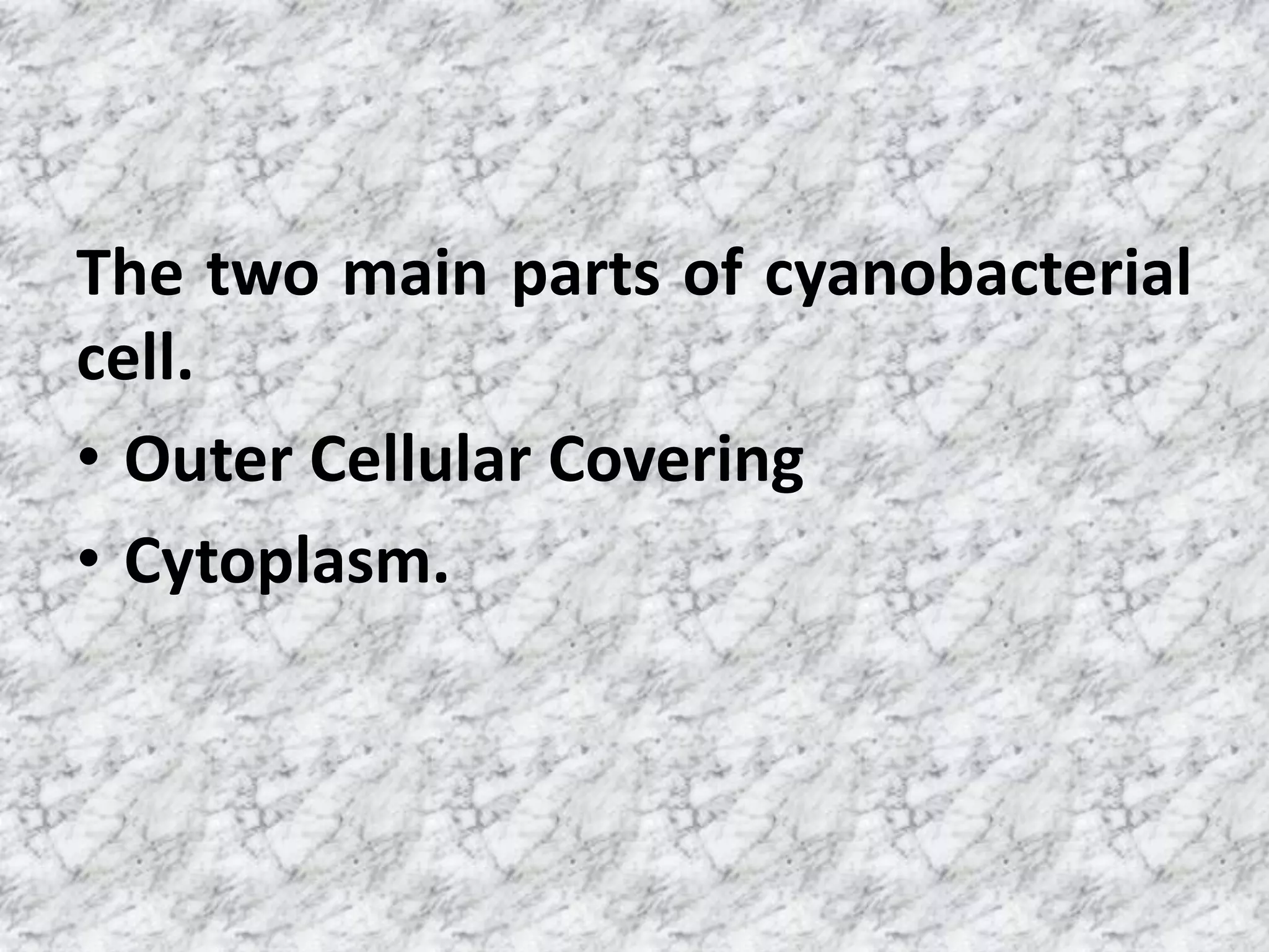 Prokaryotic and Eukaryotic Algal cell structure | PPTX